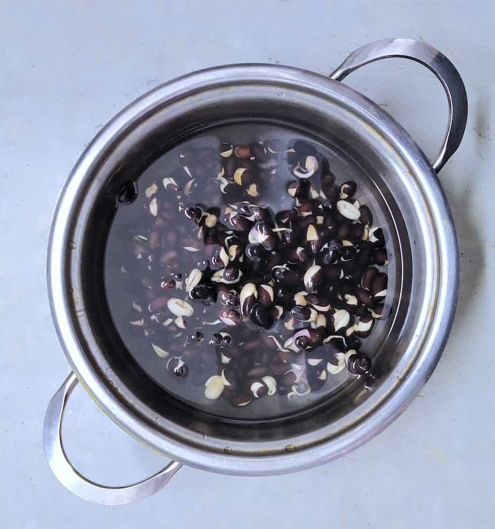 How to sprout black beans | step-by-step - veganized by Jasmin